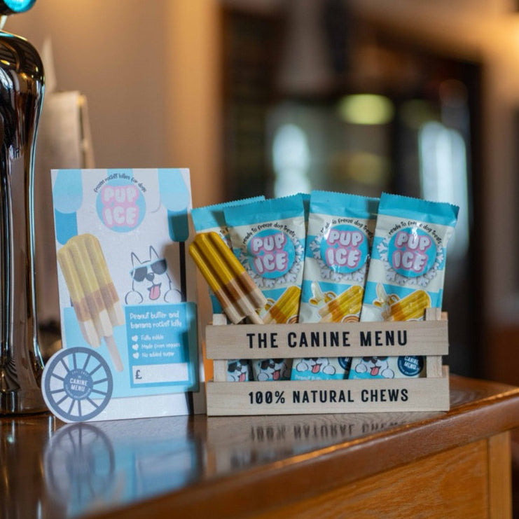 Pup Ice Lollies (25 units) – The Canine Menu UK