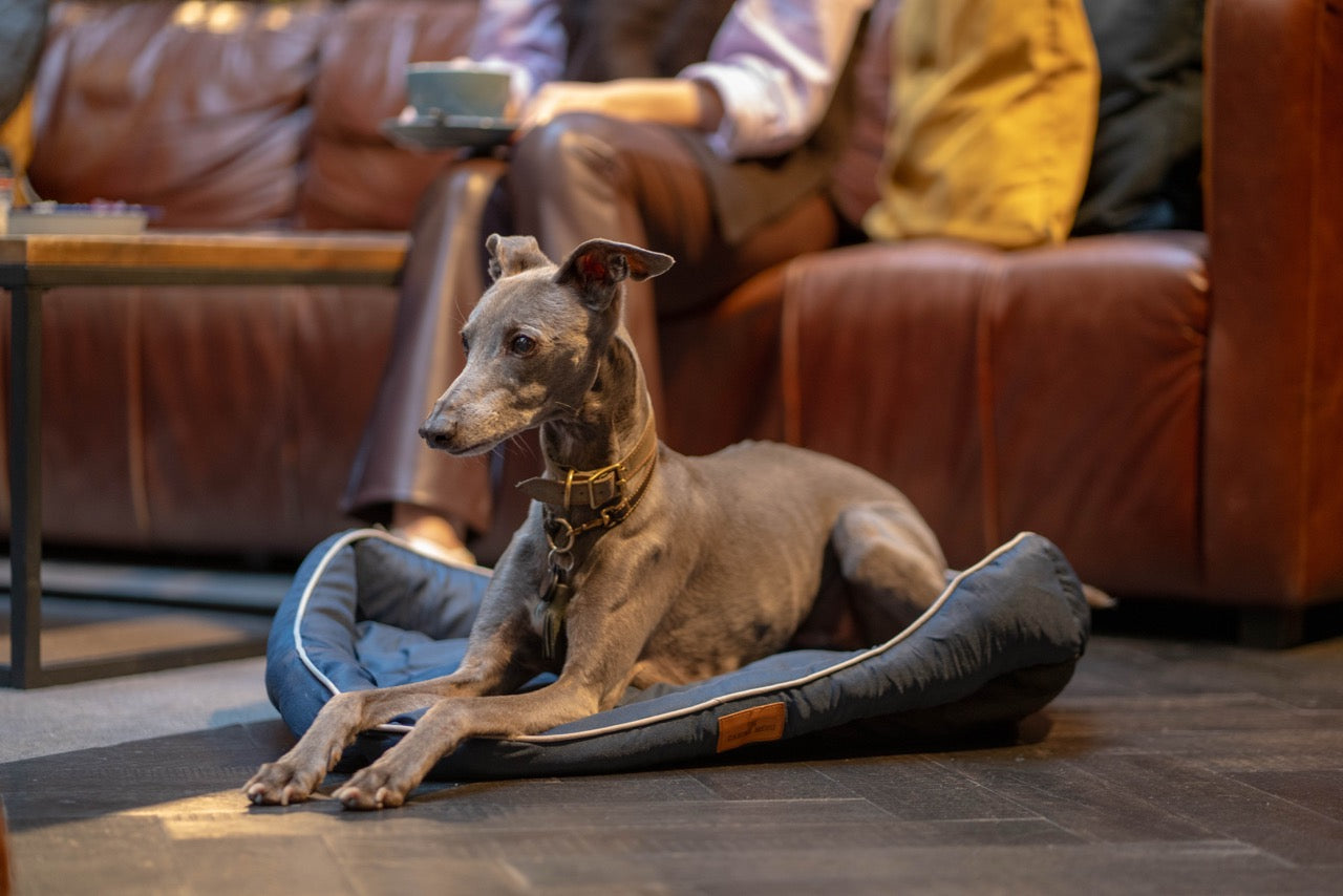 Branded Dog Bed – The Canine Menu UK